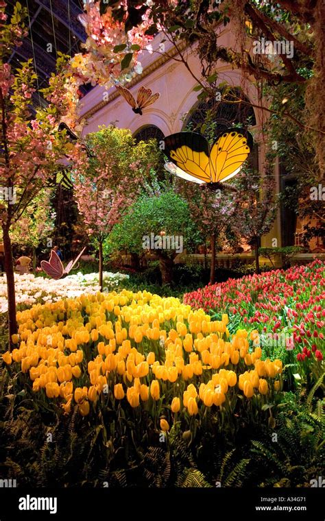 Conservatory And Botanical Gardens Inside Bellagio Hotel Las Vegas