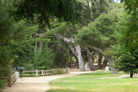 Explore San Miguelito Park In Lompoc California