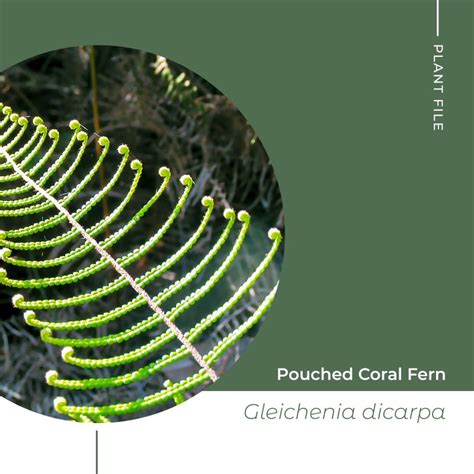 Hamish Inglis Posted On Linkedin