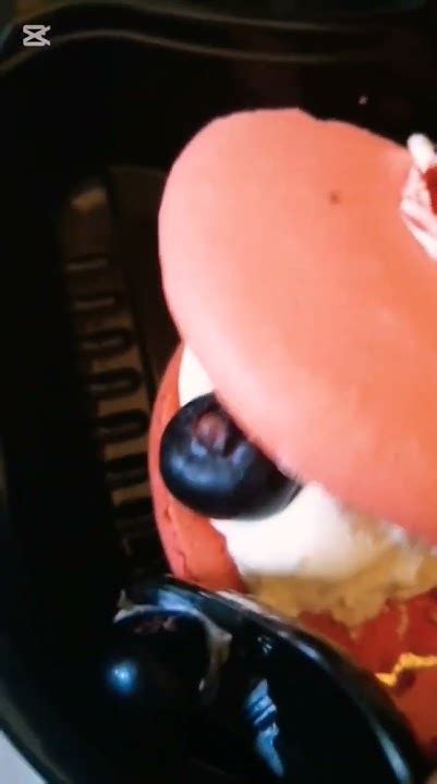 Eating The Worlds Biggest Macroon Youtube