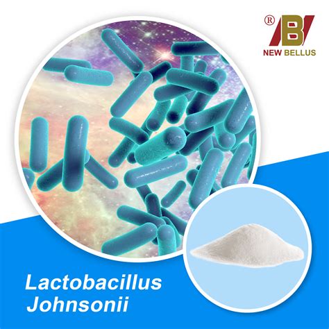 Lactobacillus Johnsonii Taiwantrade