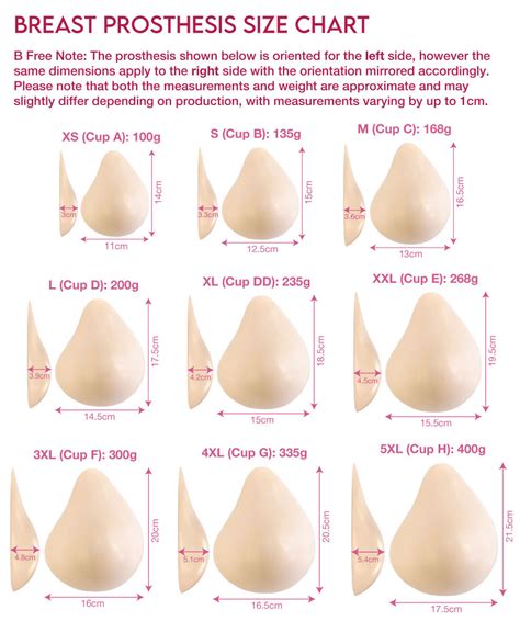 Natural Look Teardrop Breast Prosthesis Size Chart B Free B Free