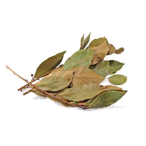 Laurel Seco 100 Grs Fruton Chile