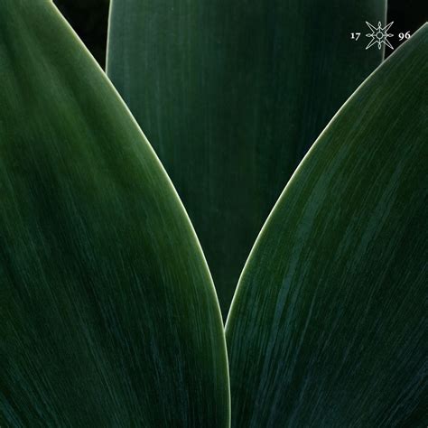 Caroline Putman Cramer On Linkedin Uk Stewardship Code Loim Confirmed