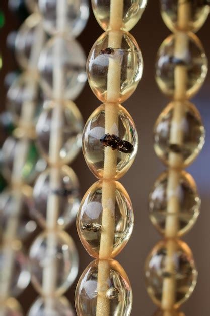 Premium Photo Beads Of The Same Type And Color