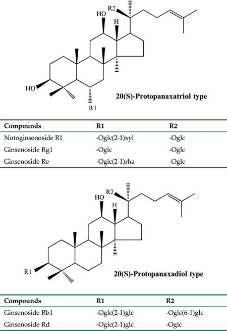 Chemical Structures Of Notoginsenoside R1 Ginsenosides Rg1 Re Rb1