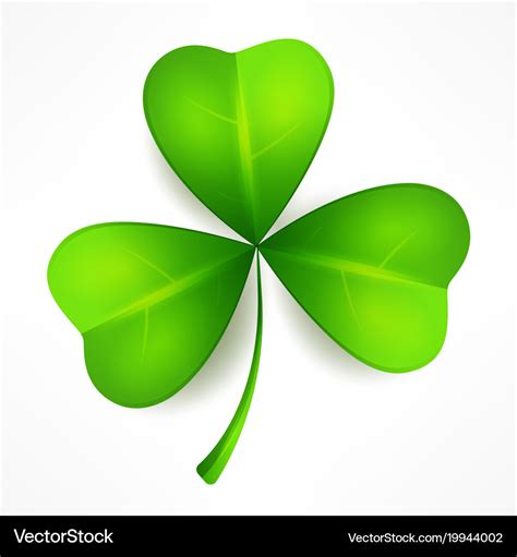 Green Clover Leaf Royalty Free Vector Image Vectorstock