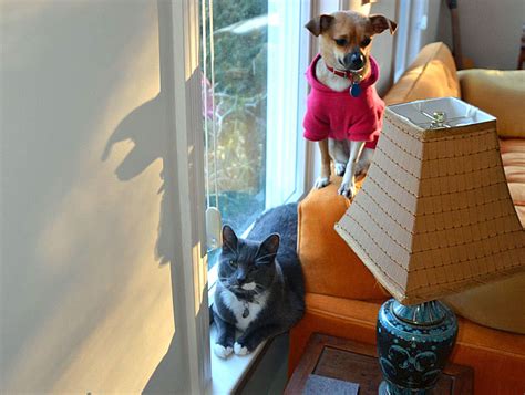 Anna Chern When Rocky Met Gracie Penbay Pilot