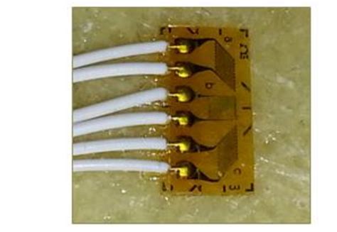 Rectangular Rosette Strain Gauge Download Scientific Diagram