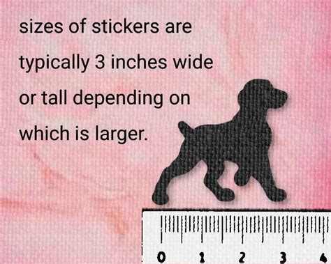 Sphinx Cat Kawaii Sticker Super Adorable Kawaii Cat Etsy