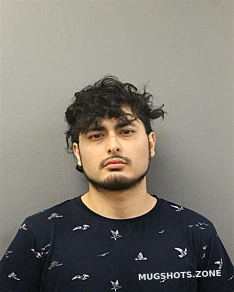 Alejandro Marin 02 25 2024 Chicago Mugshots Zone