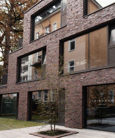 Trigonum Therapy And Training