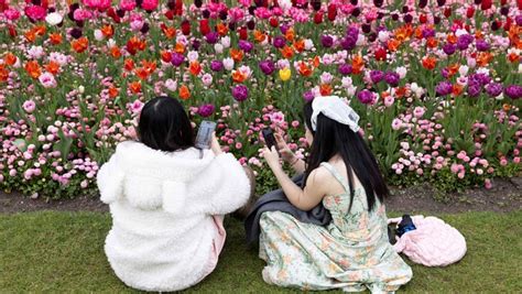 Melihat Indahnya Bunga Bermekaran Di Victoria Embankment Gardens