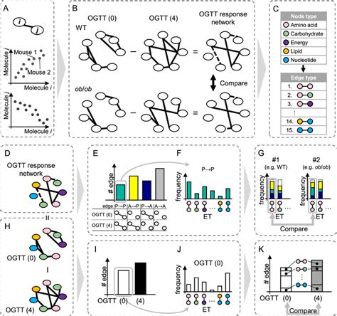 Schematic Representation Of The Network Inference The Network