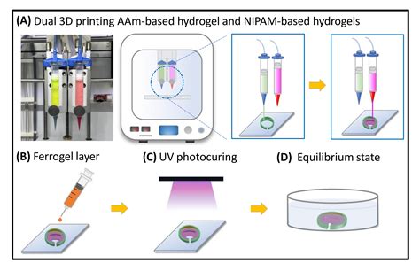 Video Four Dimensional Printing Of Stimuli Responsive Hydrogel Based Soft Robots