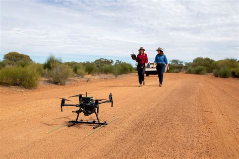 Drone With Special Radio Telemetry System Tracks Wildlife In Australia