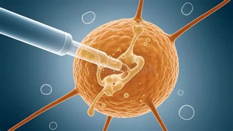 Spherical Cell Stock Illustrations 2189 Spherical Cell Stock