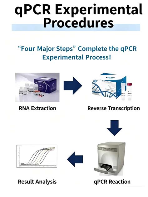 What Factors Need To Be Considered When Performing Pcr In A Laboratory