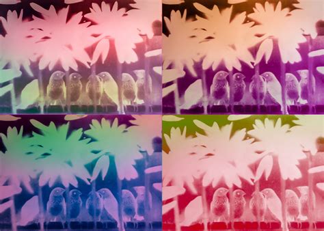 A Colorful Life — Sharon Steinbach