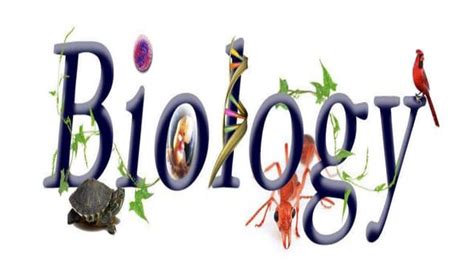 Cell Teaching Demo Pptx