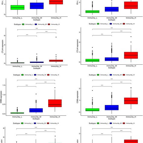 The Correlation Between Hla Related Genes And Immune Groups A Download Scientific Diagram