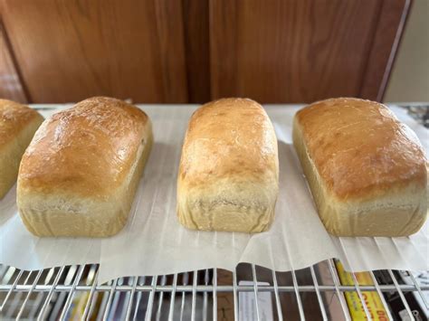 Melissa Mongold Smith