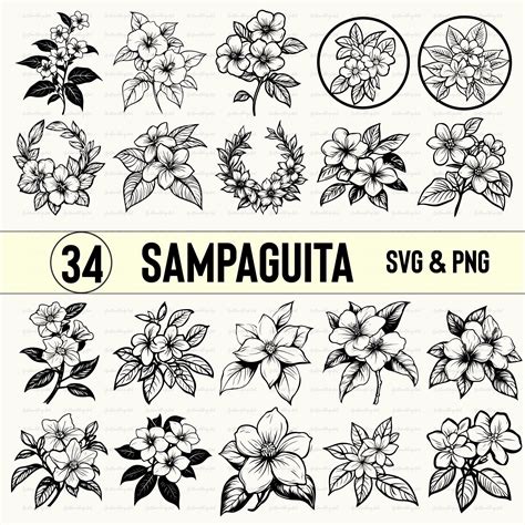Sampaguita Flower Svg Bundle Silhouette Clipart Vector Png