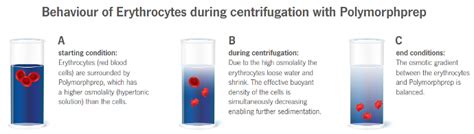 Axis Shield Density Gradient Medica