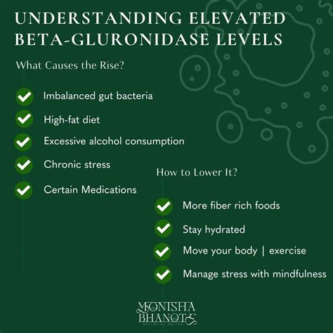 The Gut Brain Connection What Your Brain Fog May Be Telling You — Dr