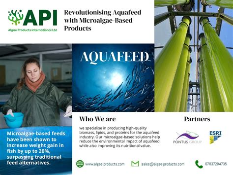 Industries Algae Products International