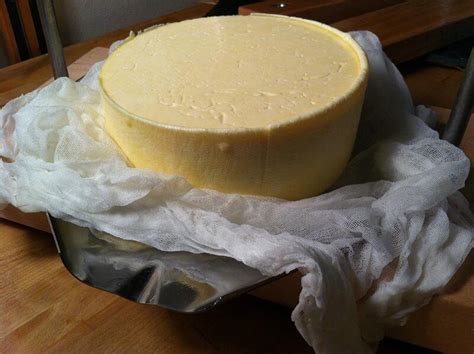 Alpine Tomme Recipe How To Make Cheese Cheese Making