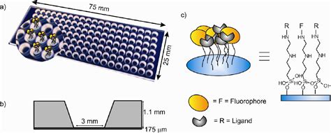 Figure 1 From Cross Reactive Sensor Array For Metal Ion Sensing Based On Fluorescent Sams