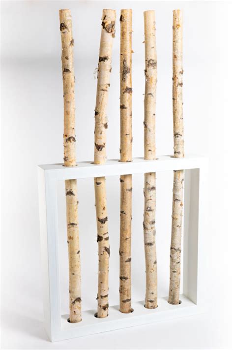 Berkenstam Afscheiding Abc Rent