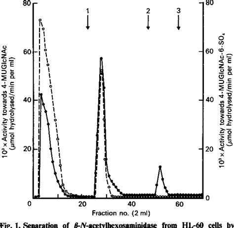 Figure 1 From An Enzyme With Properties Similar To Those Of Beta N