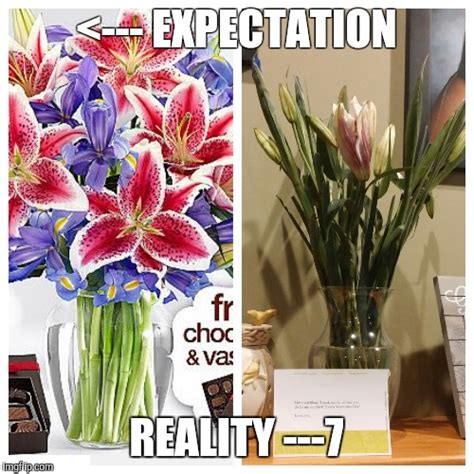 Image Tagged In Flower Expectation Vs Reality Sexy Valentines Day