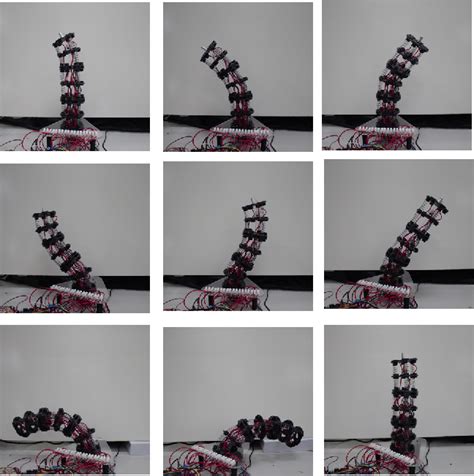 Figure 13 From Design And Development Of A Novel Sma Actuated Multi Dof Soft Robot Semantic