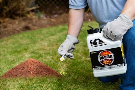 Do Ants Eat Grass How To Remove Them Effectively