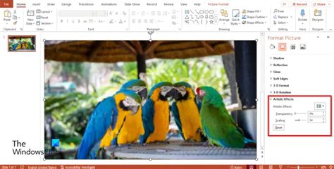 Как сделать эффект матового стекла в Powerpoint