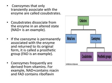 Enzymes Definition And Classification Introduction Pptx