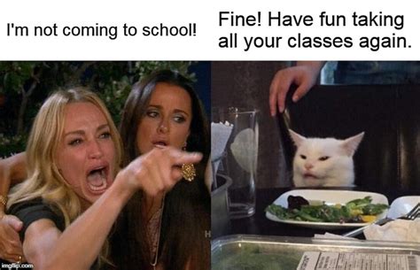 Woman Yelling At Cat Meme Imgflip
