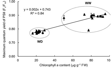 Maximum Quantum Yield Of Psii F V F M Due To Chlorophyll A Content