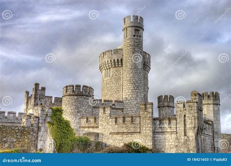 Castillo De Blackrock En La Ciudad Del Corcho Irlanda Imagen De Archivo Imagen De Siglo