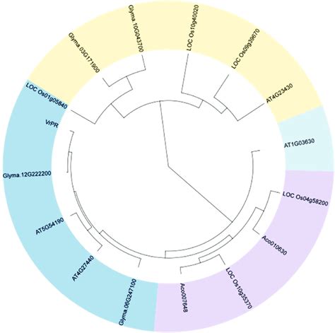 Figure Of Amino Acid Sequence Alignment Of Homologous Download Scientific Diagram