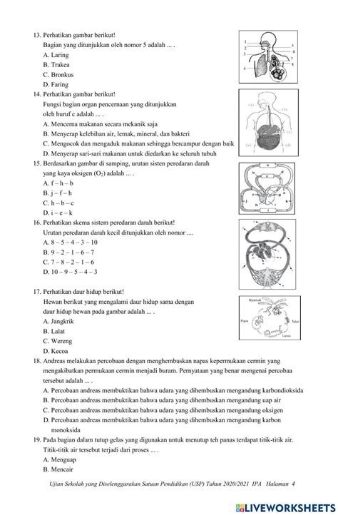 Usp Ipa 1040662 Sutanto Malik Live Worksheets