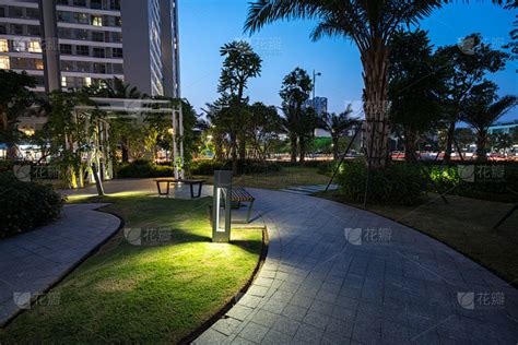 在公园的花园里，夜晚灯火通明