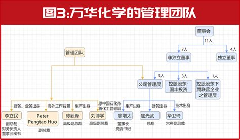 股权改制构建“三宝”共同体，华为和万华化学样本提供新思路 凤凰网