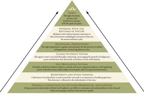 The Principles Of Biodynamic Farming Biodynamic Gardening Biodynamic
