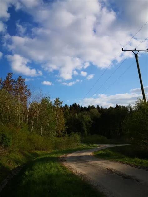 Finde Lokale Munity And Sexdating In Deutschland And Schweiz