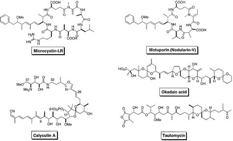 Structures Of Microcystin Lr Motuporin Nodularin V Calyculin A