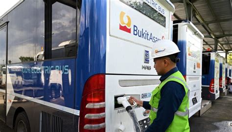 Ptba Operasionalkan 15 Unit Bus Listrik Di Sumsel Dan Lampung Katanda Id